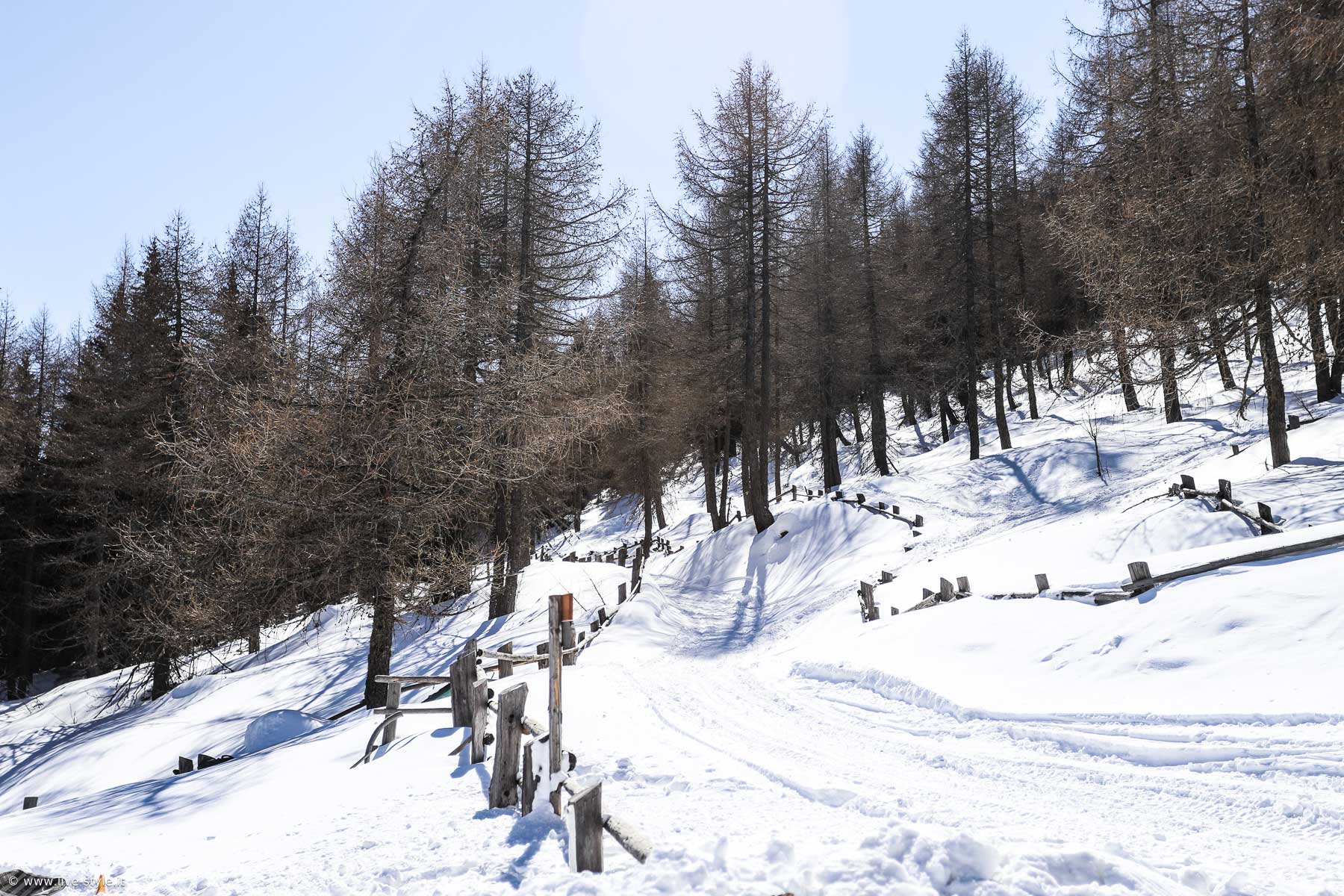 Wandern in Spinges/Südtirol: keine Karte notwendig!